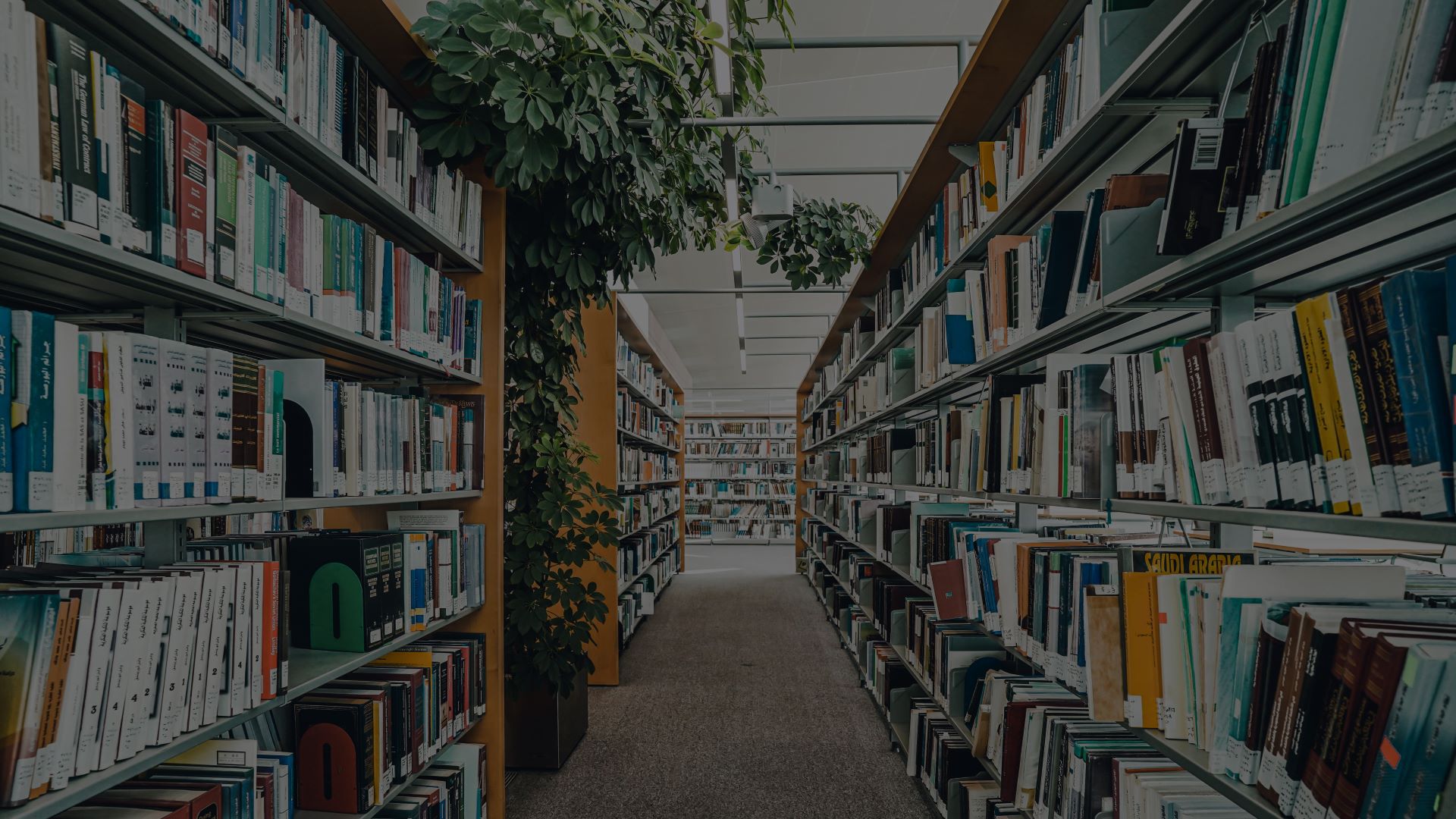 King Fahad National Library - Visit Saudi Official Website