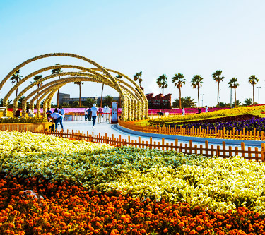 Flower Festival In Yanbu Saudi Arabia | Best Flower Site
