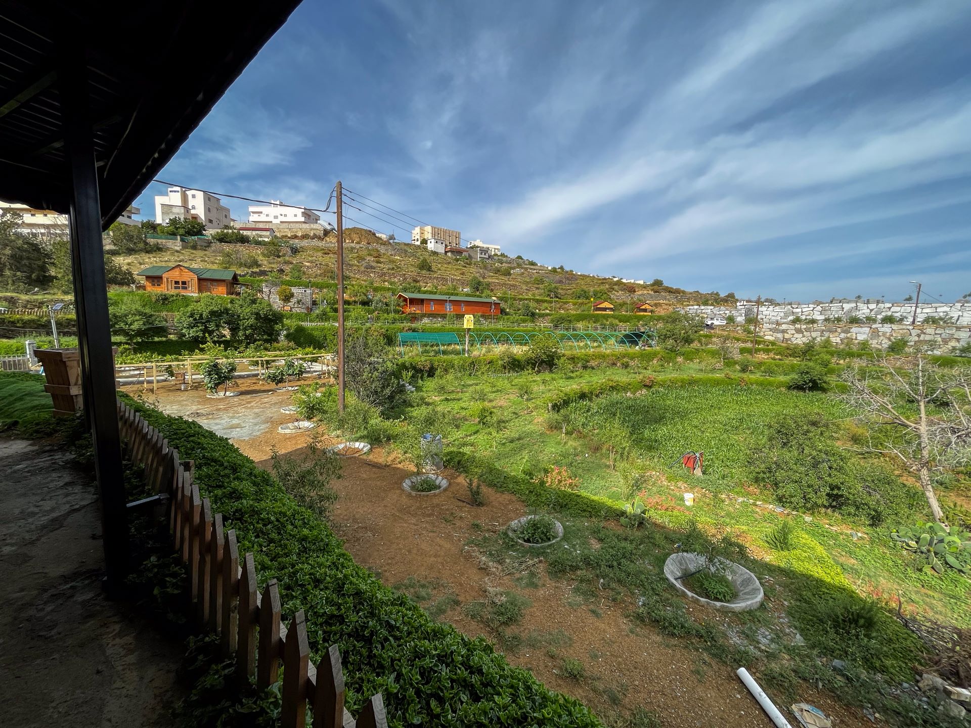 Almond Orchards Farm - Visit Saudi Official Website