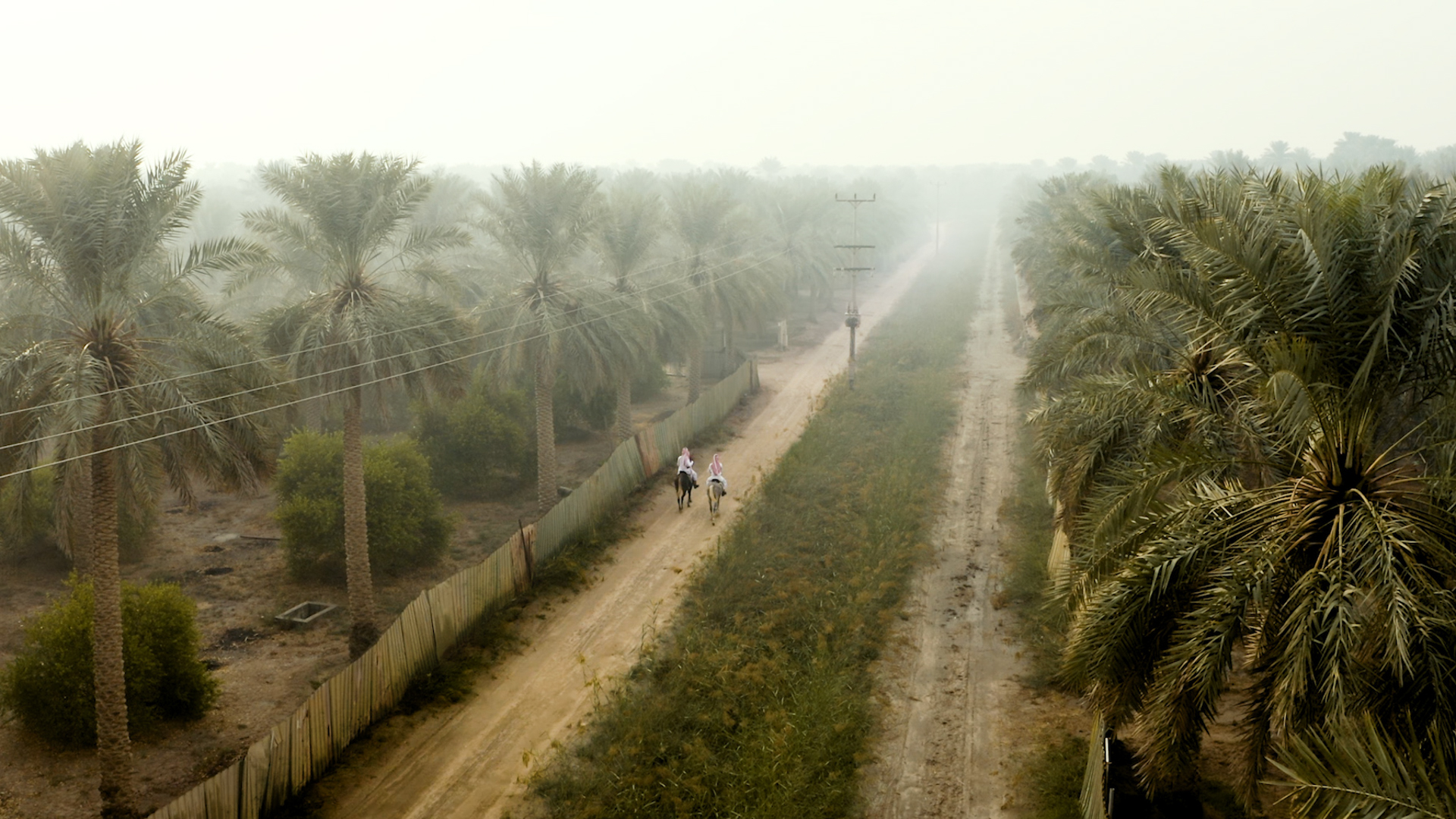 One Day in Al Ahsa - Visit Saudi Official Website